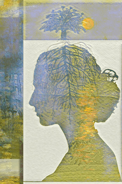 Imagine Novel: A Digital Literary Arts Studio, Portland OR , Original ...